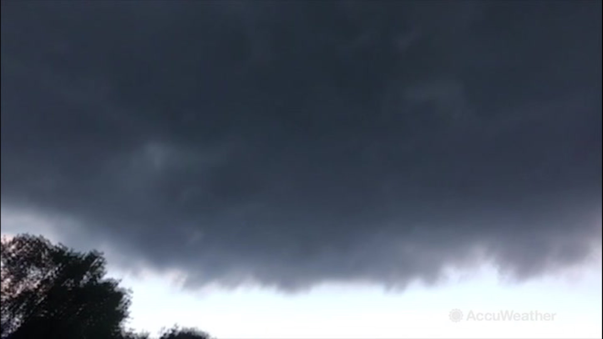 Stormy wind whips leaves around | 13wmaz.com