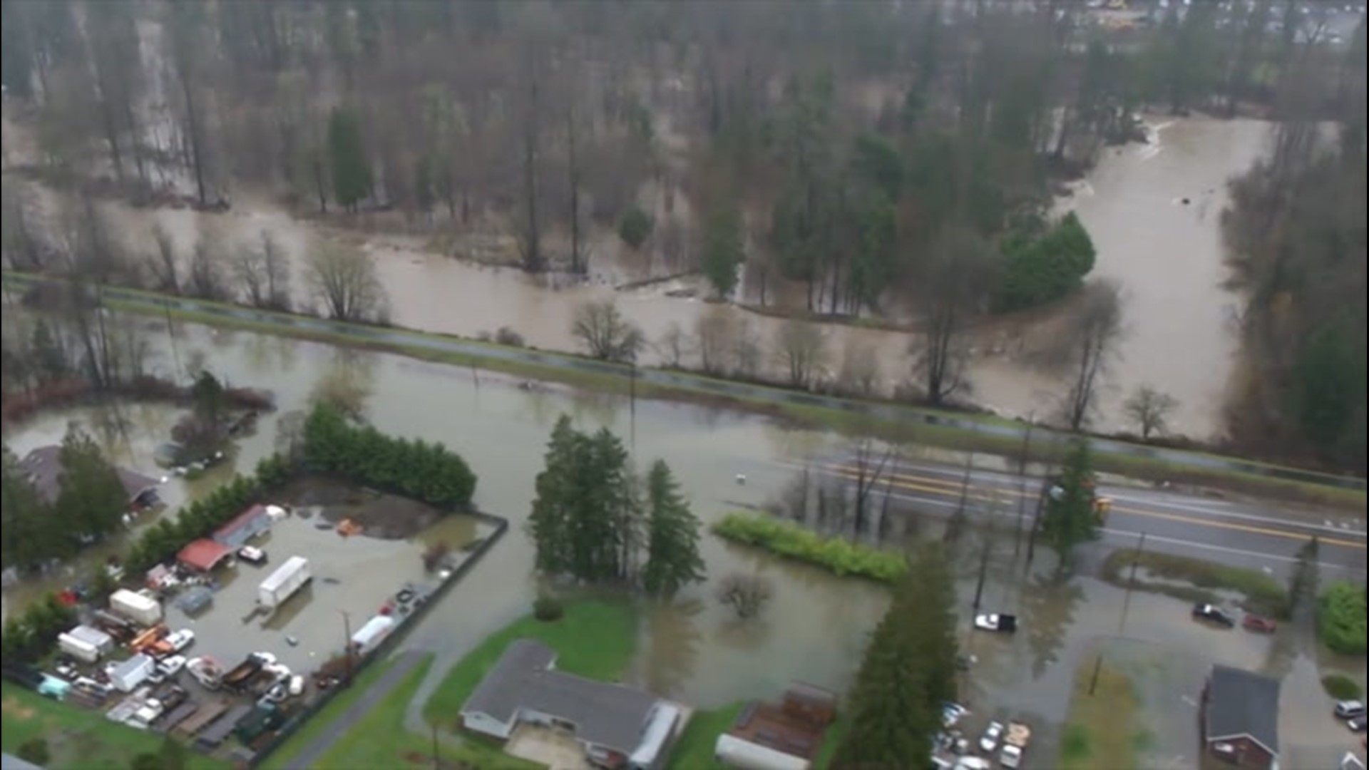 Forest turns into swamp following river flooding | 13wmaz.com