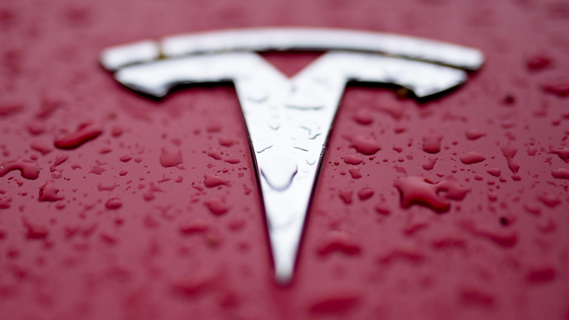 Man drives into Tesla protesters in Florida, gets arrested | 13wmaz.com