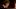 Judge Judy's son will have his own network courtroom show, CBS ...
