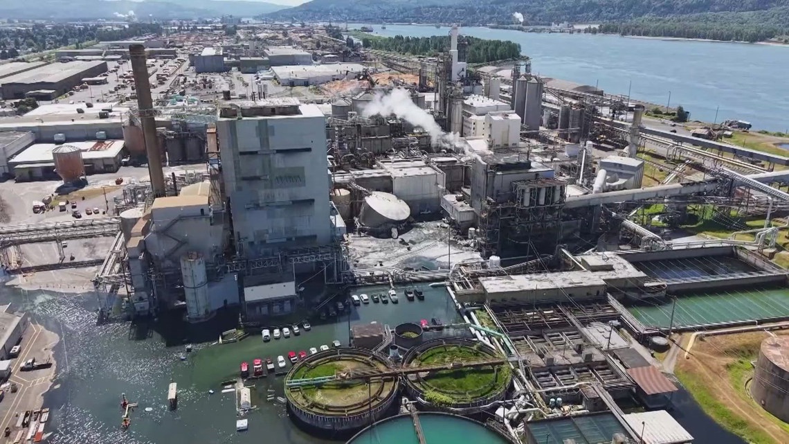 Tank that killed 11 at Longview paper mill did not require state or ...