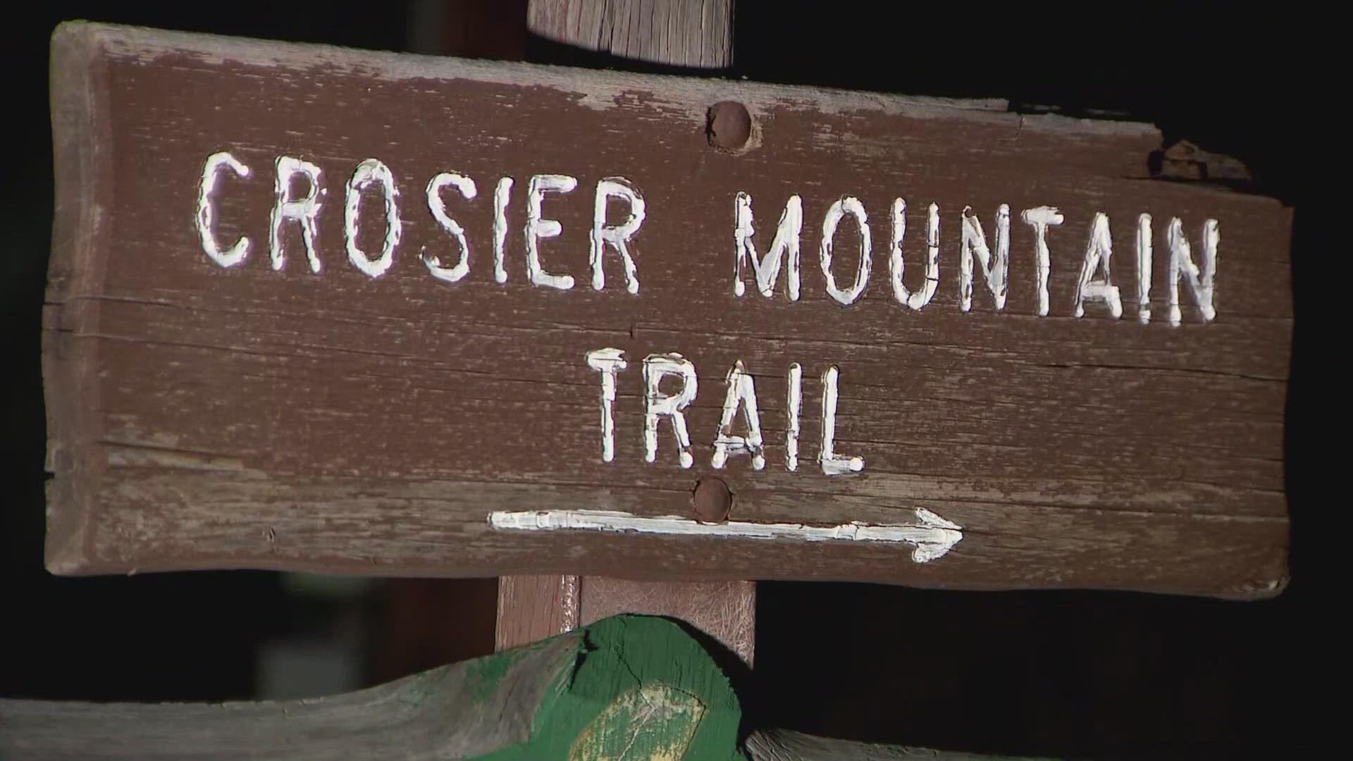 Woman killed in suspected mountain lion attack in Colorado | 13wmaz.com