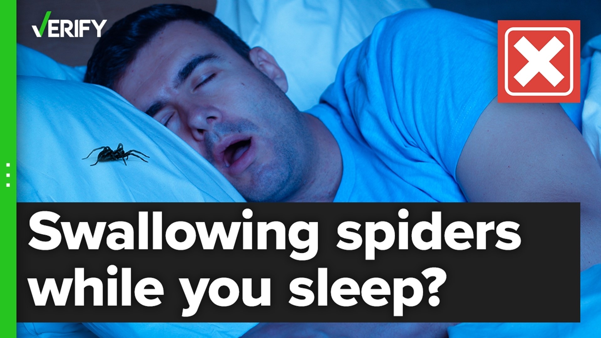 Claim people regularly swallow spiders during sleep is a myth | 13wmaz.com