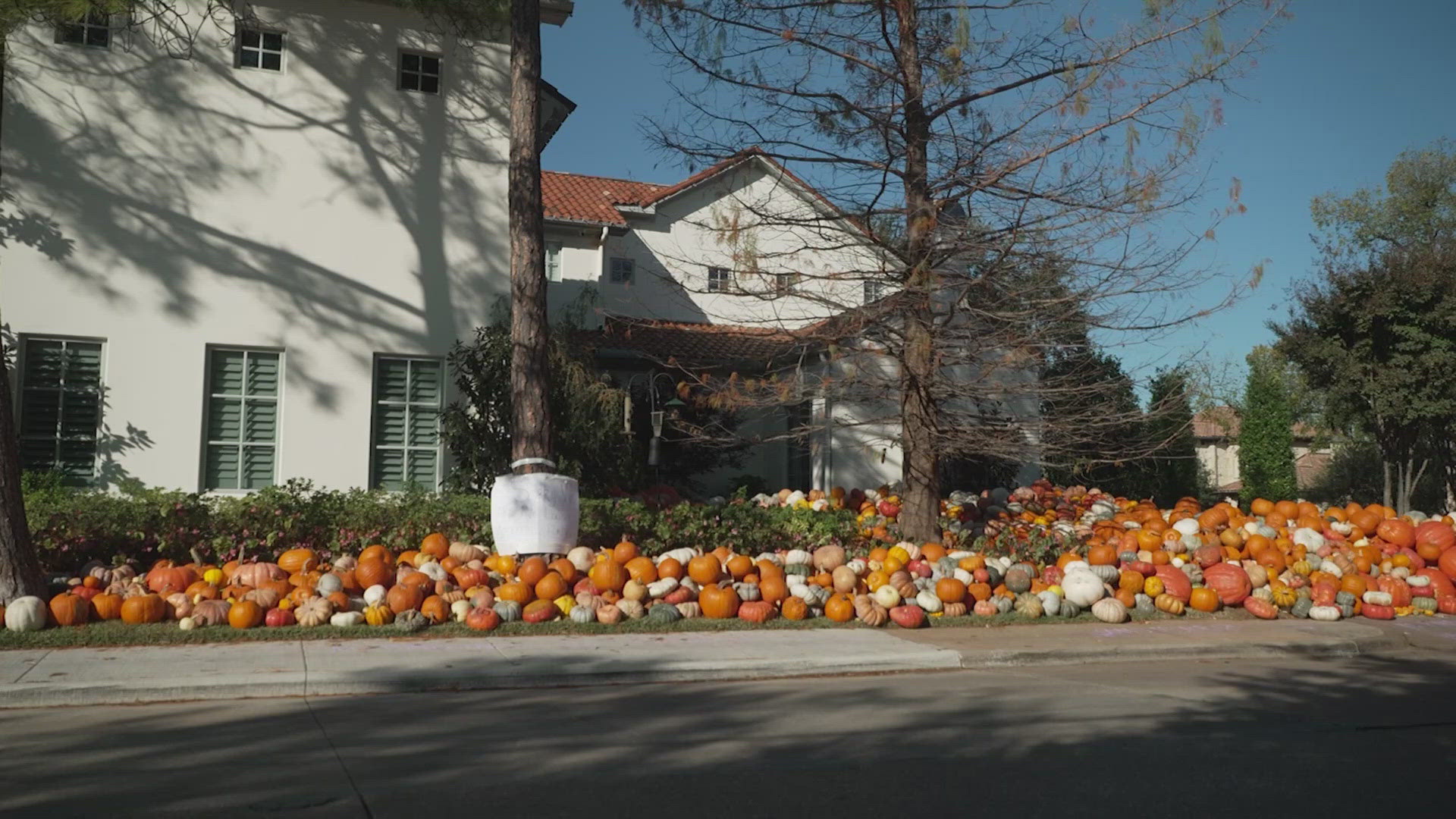 Pumpkins for Pigs: Why this North Texas home is a post-Halloween gourd ...