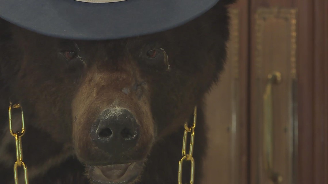 Story of 'Cocaine Bear' heads to movie theaters | 13wmaz.com