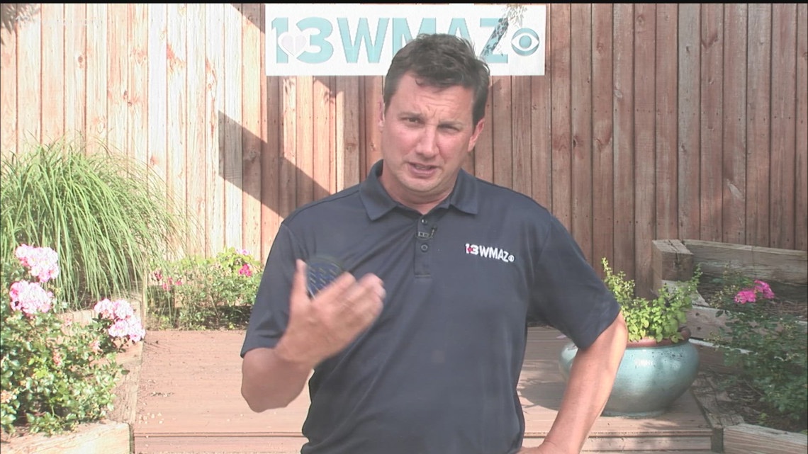 Georgia Rep. Austin Scott announces bid for Speaker of the House ...