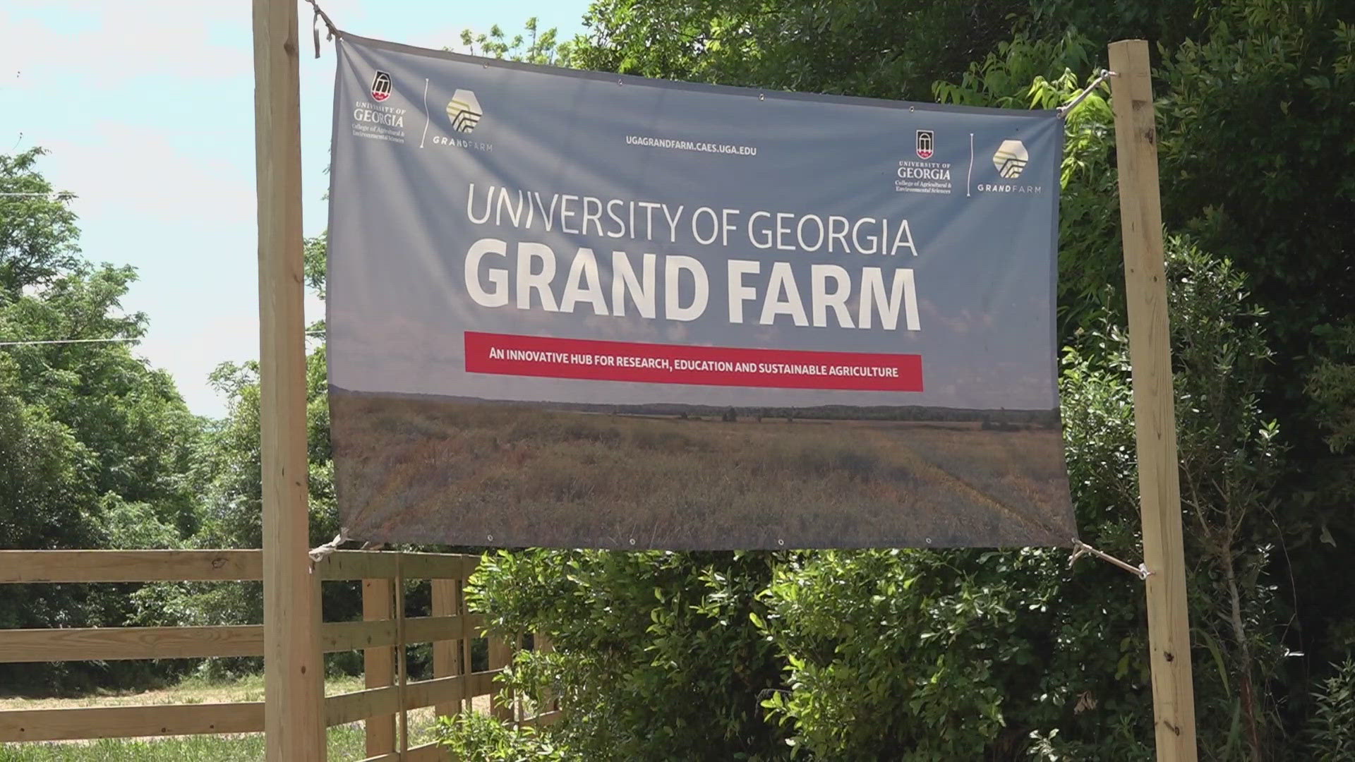 UGA Grand Farm leads agtech innovation in Central Georgia | 13wmaz.com