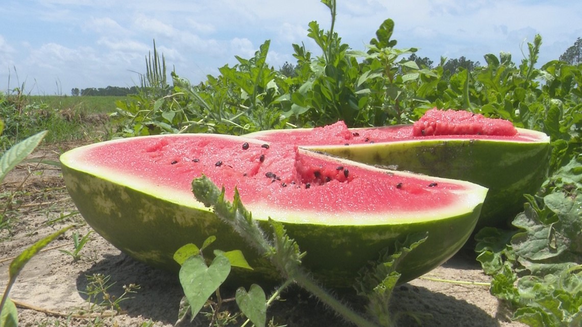 Cordele celebrates 70th annual Watermelon Days Festival | 13wmaz.com