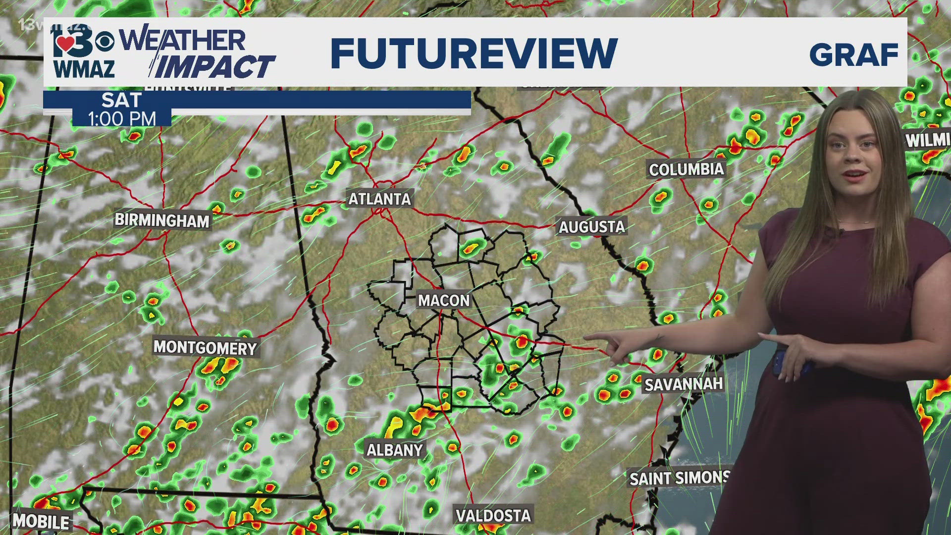 Georgia's 'Gnat Line' is real | 13wmaz.com