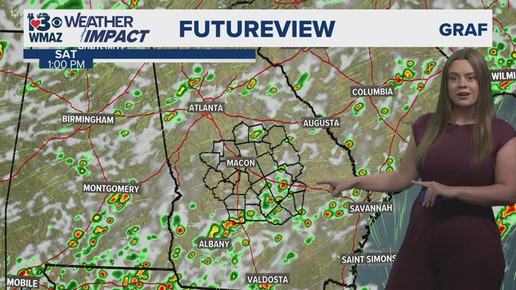 Georgia's 'Gnat Line' is real | 13wmaz.com