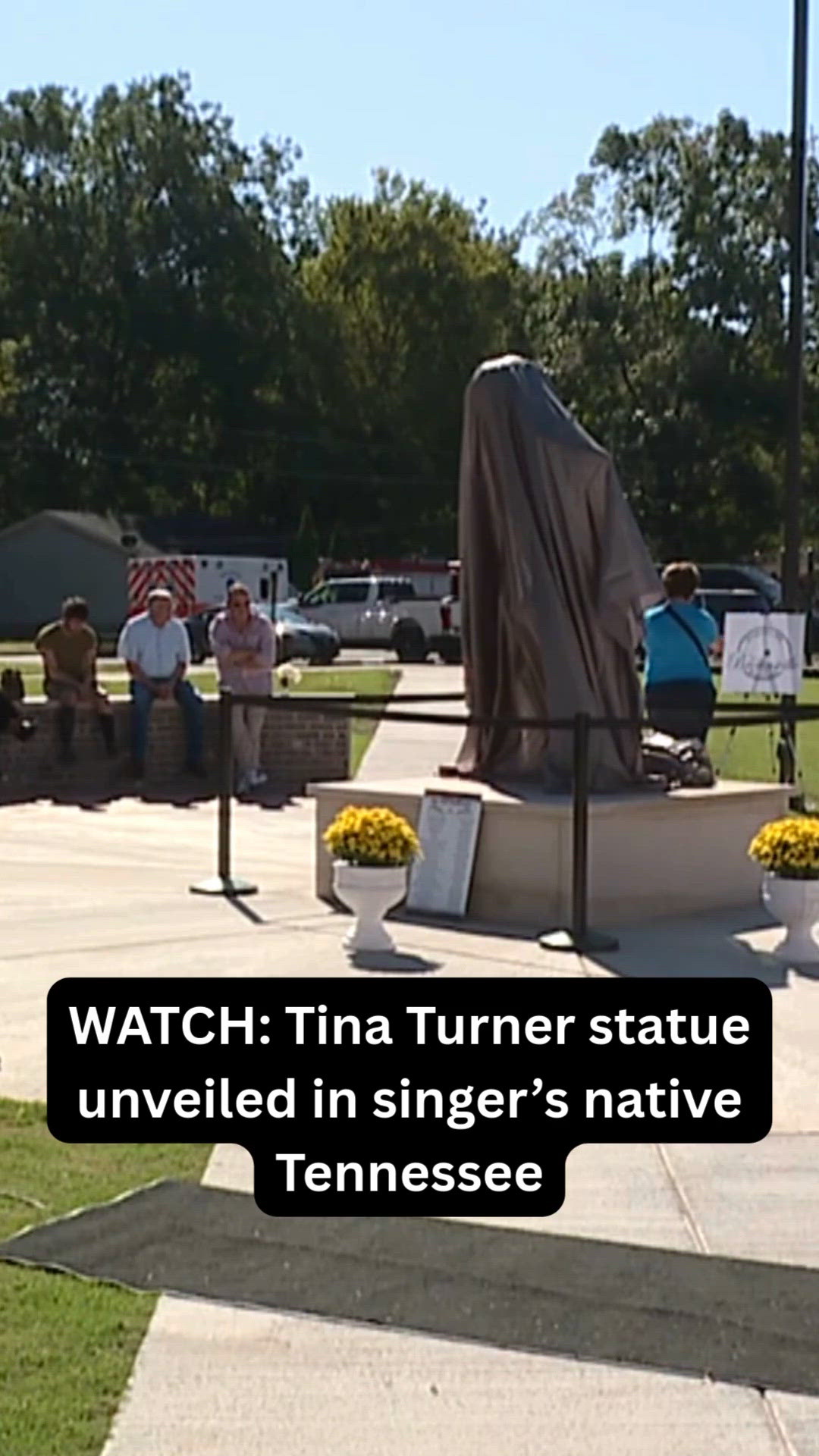 WATCH: Tina Turner statue unveiled in singer’s native Tennessee ...