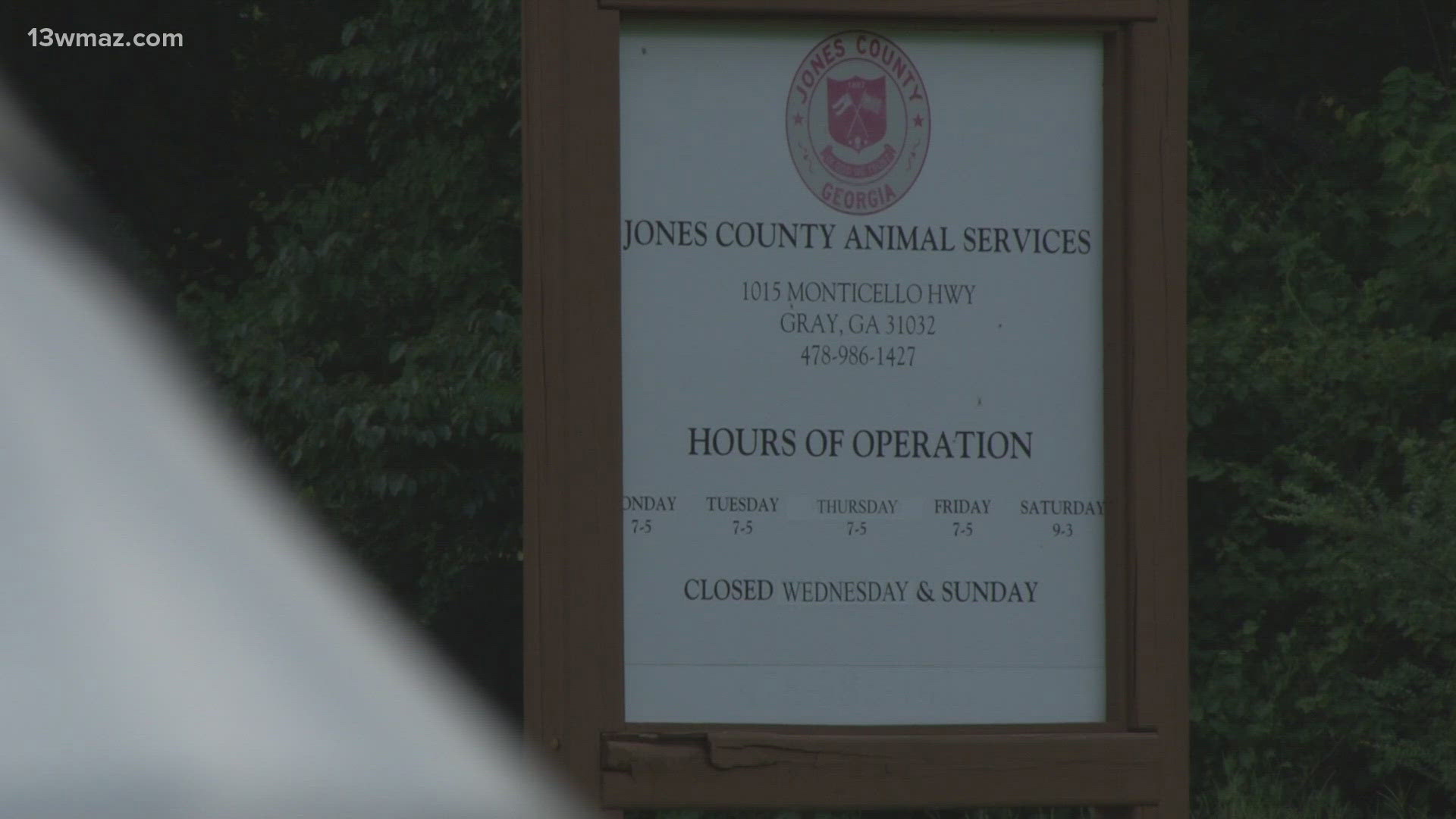 2 men steal dog scheduled for euthanasia from Georgia animal shelter ...