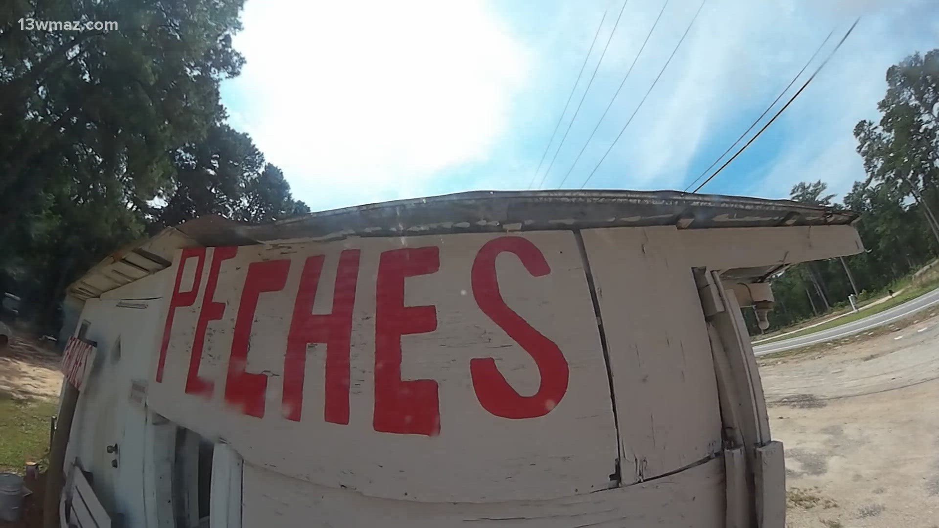 Georgia famous 'Peches" stand has been in business for more than 35 ...