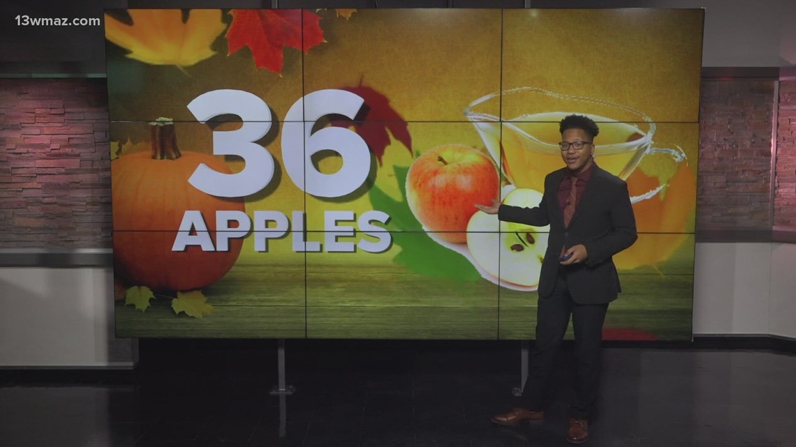 Meteorological Fall: Fun facts you need to know | 13wmaz.com