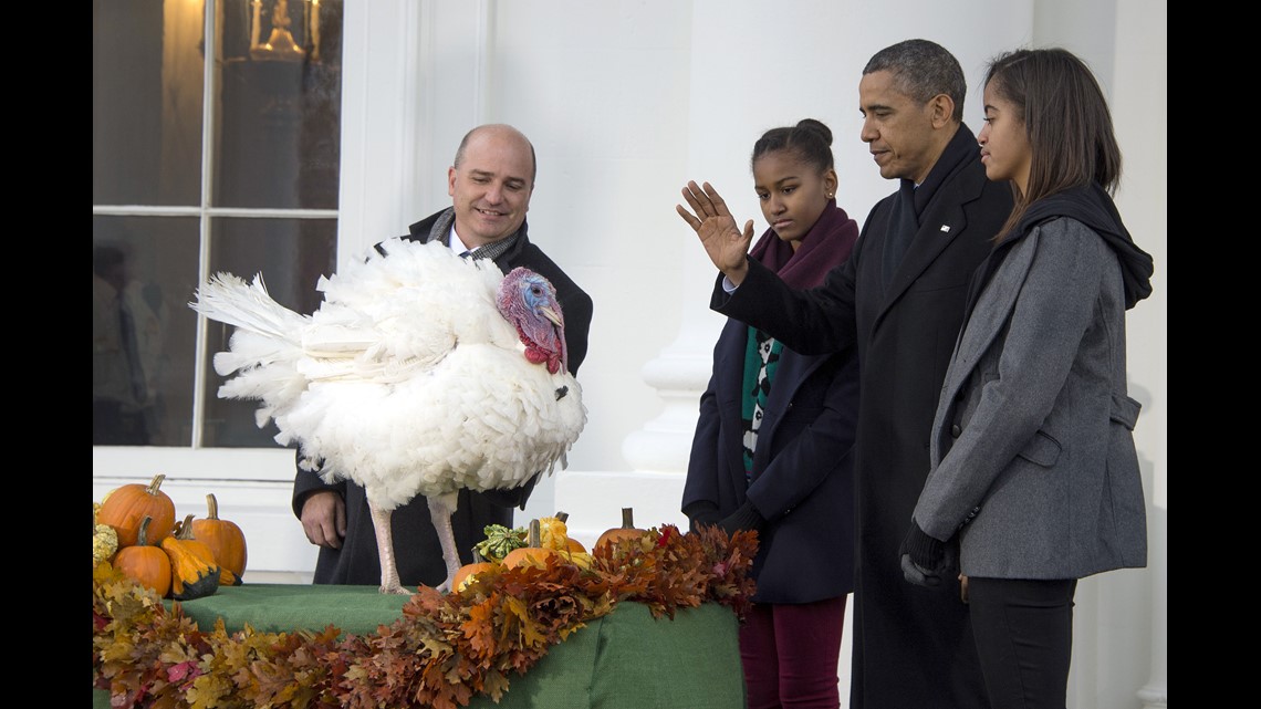 Thanksgiving traditions: Turkey pardoning explained | 13wmaz.com