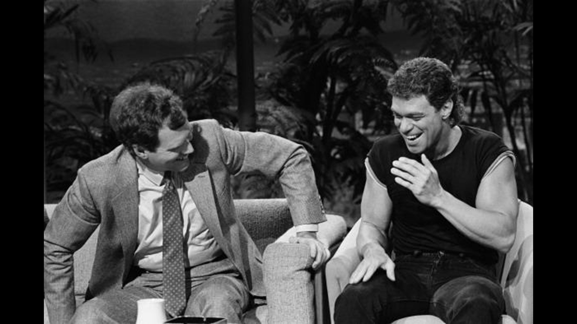 David Letterman Through The Years | 13wmaz.com