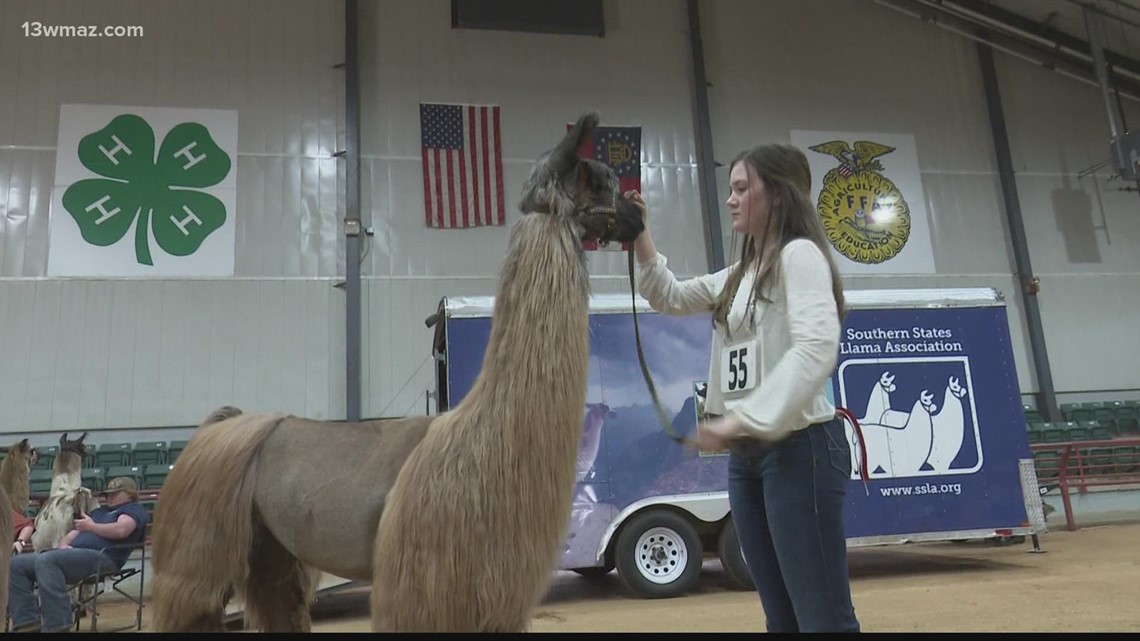 What to know about 2021 Annual Georgia National Fair in Perry, Ga ...