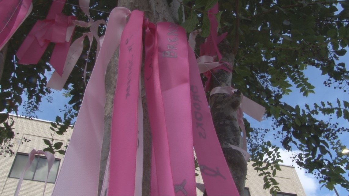 Breast Cancer "Tree of Hope" at Coliseum Medical center | 13wmaz.com