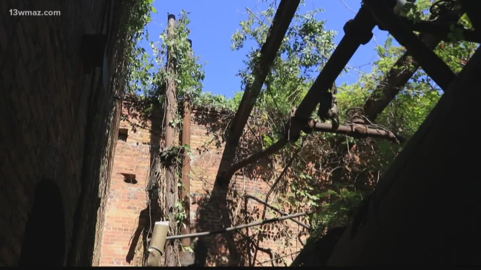Macon man removes 70-foot tree from inside historic building | 13wmaz.com