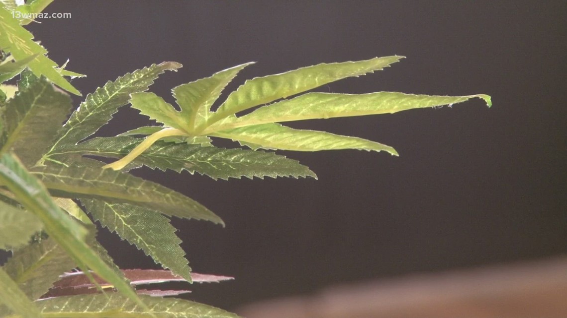 Medical Marijuana Plant invites local-elected officials on tour ...