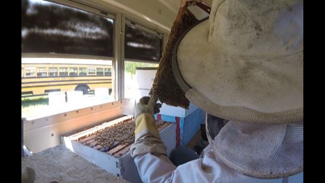 Forsyth man keeping bees on old school bus | 13wmaz.com