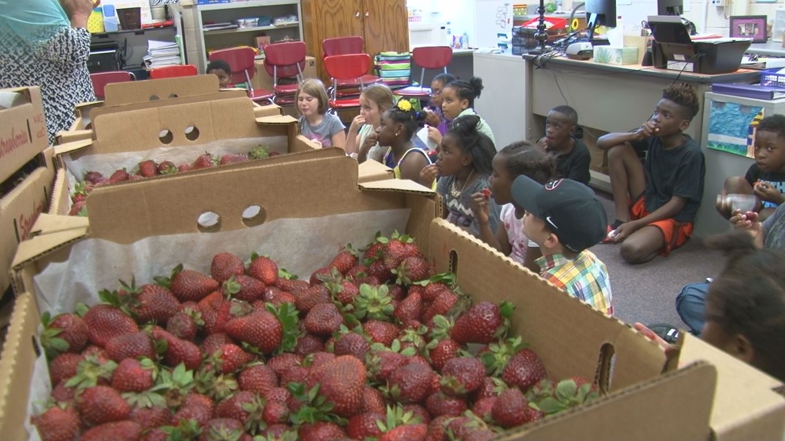 Morningside Elementary kicks off Farm Day to teach kids where food ...