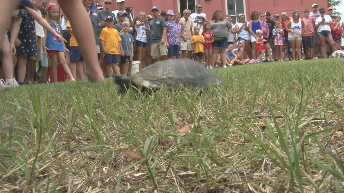 Slow and steady | Turtles take off at Wrightsville's annual turtle race ...