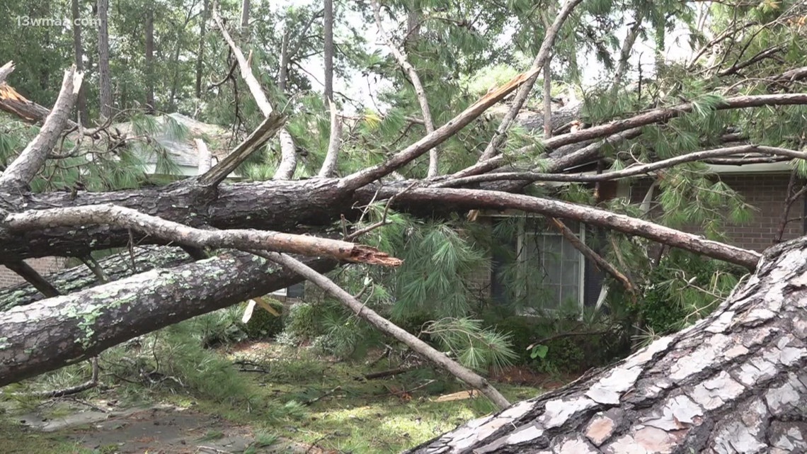 Helene's human toll | 15 killed in GA during Hurricane Helene | 13wmaz.com