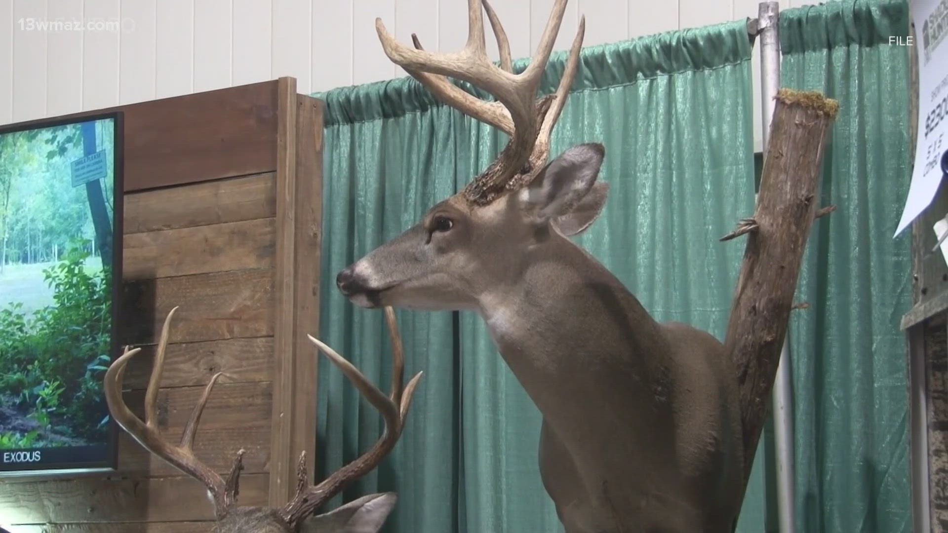 The Buckarama comes to the Perry National Fairgrounds. Here's what you ...