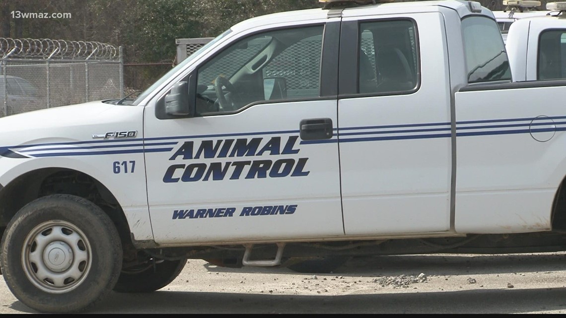 Warner Robins Animal Control holds 'Let Love Find You' event to get ...