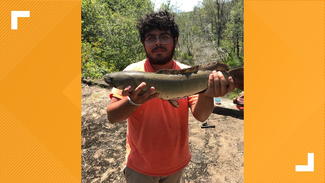 Show us your Big Ol' Fish photos | 13wmaz.com