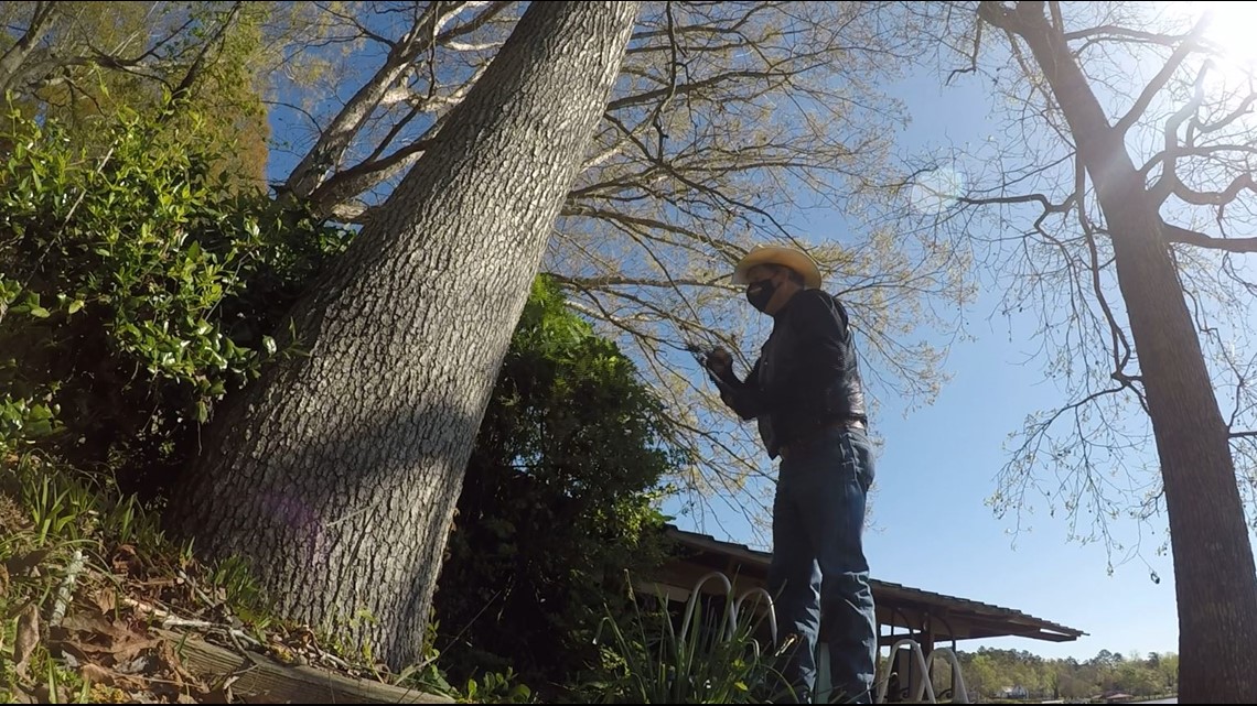 Allergy report: Georgia sees highest pollen count in 4 years | 13wmaz.com