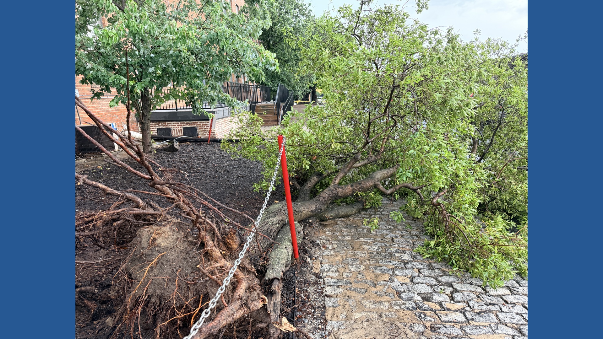 PHOTOS: Strong thunderstorms cause damage in parts of Central Georgia ...