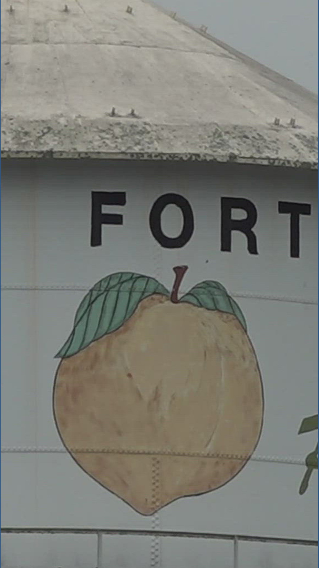 Fort Valley pushes back against bill that would strip city of key ...