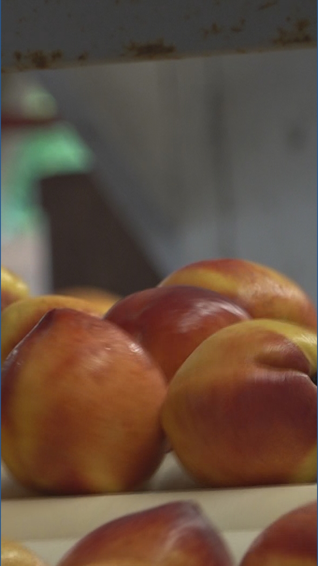 Georgia peach growers tackle storms for successful harvest | 13wmaz.com