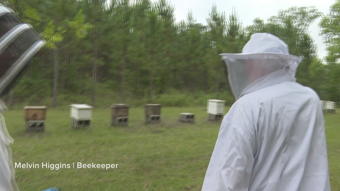Bees & Weather: Melvin Higgins discusses how his honey bees are ...