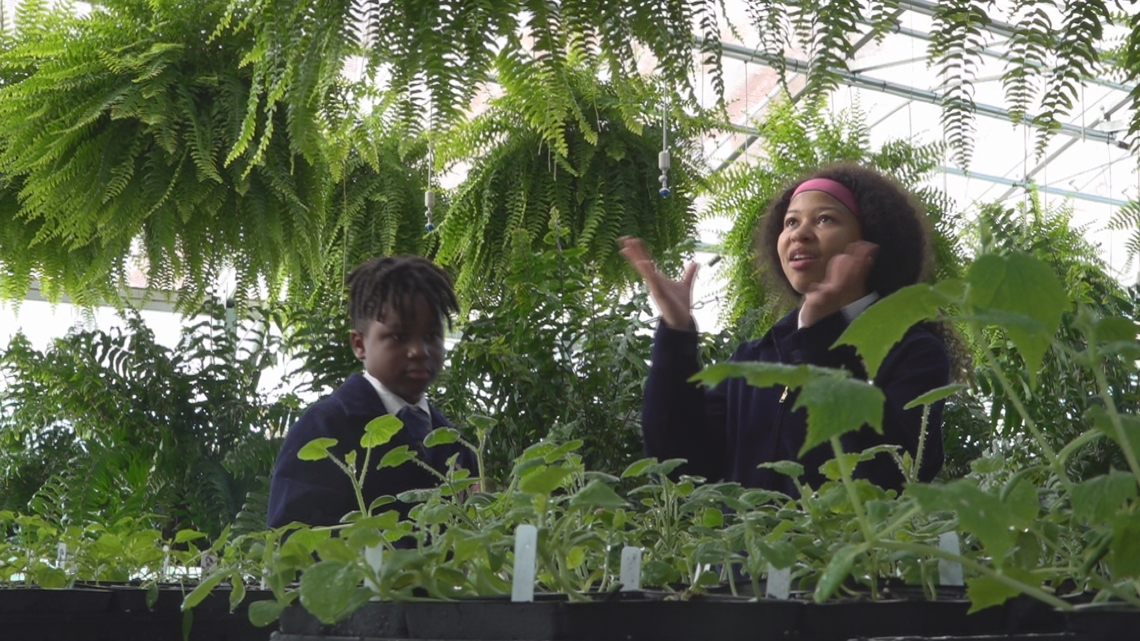 Appling Middle named school of the week for FFA club | 13wmaz.com