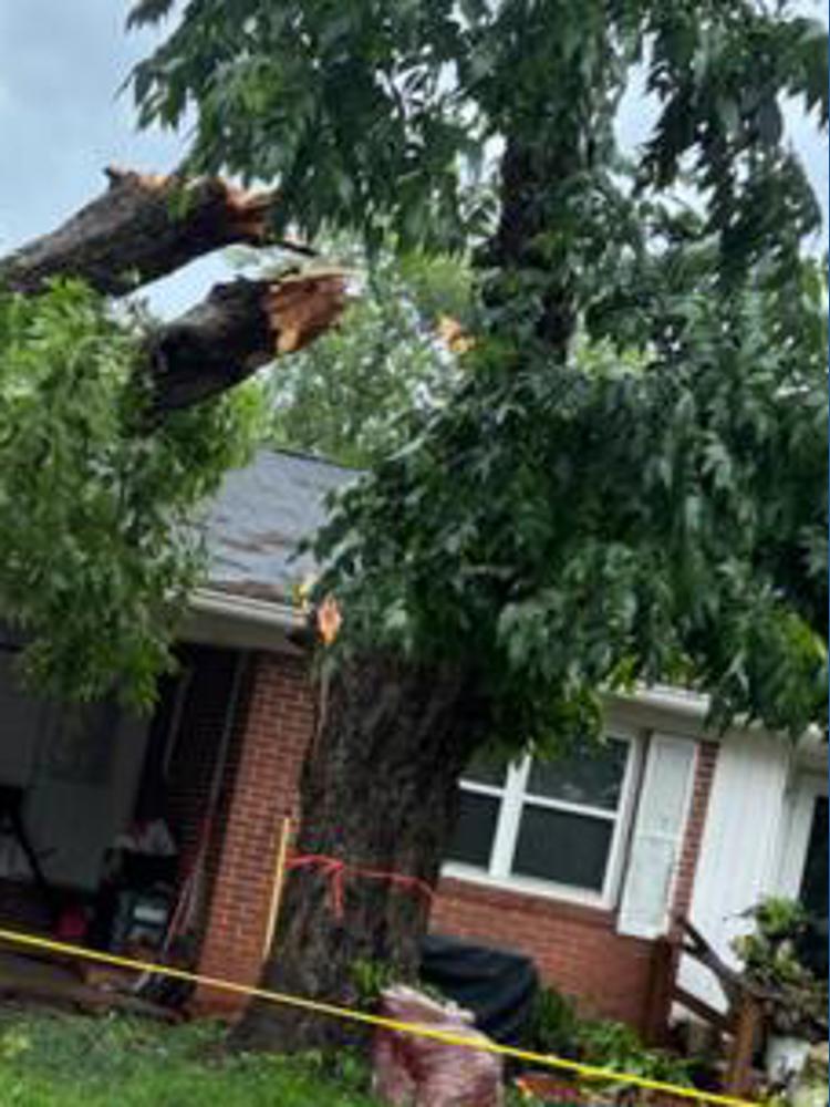 PHOTOS: Damage across Central Georgia during severe thunderstorms and ...