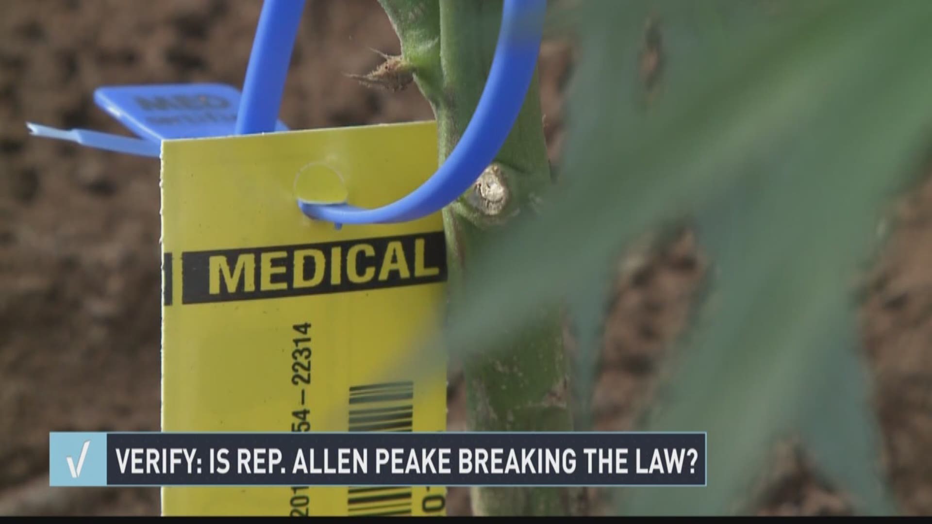 VERIFY: Is Representative Allen Peake breaking the law? | 13wmaz.com