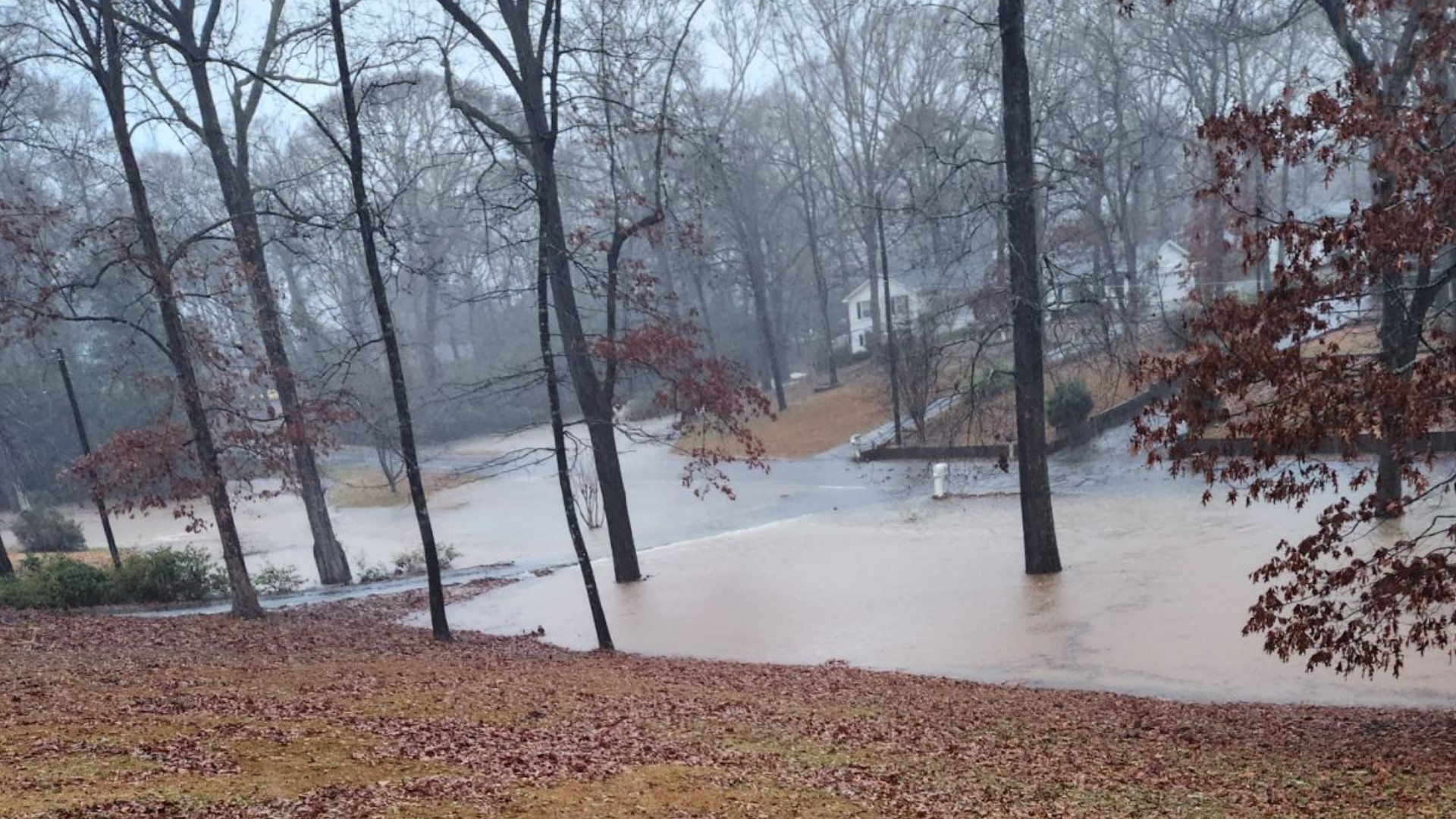 Central Georgia severe weather storm damage photos (January 9, 2024 ...
