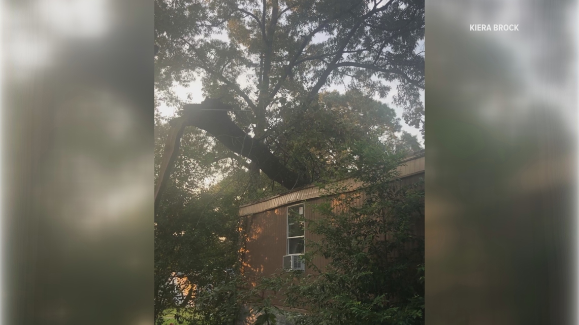 Macon family needs help after tree falls through home | 13wmaz.com