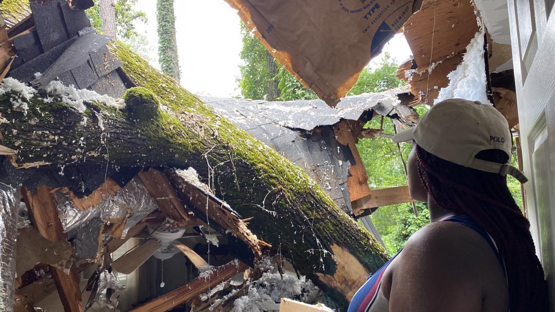 Macon family unable to reach management after tree falls on roof ...