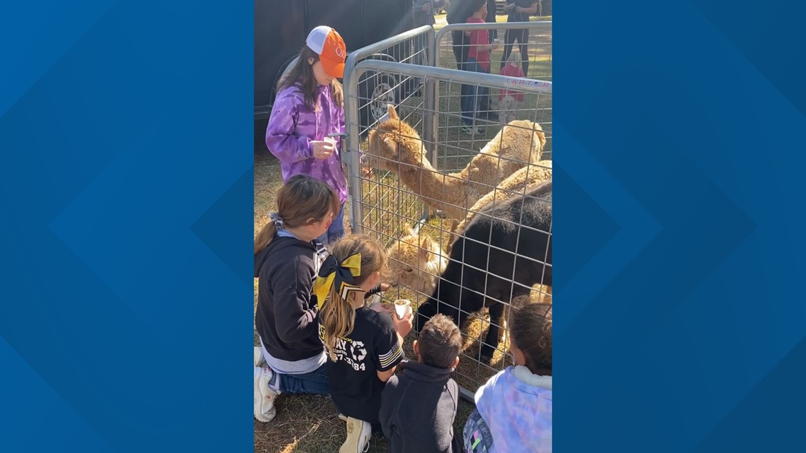 Ocmulgee Riverfest held in Hawkinsville, Georgia | 13wmaz.com