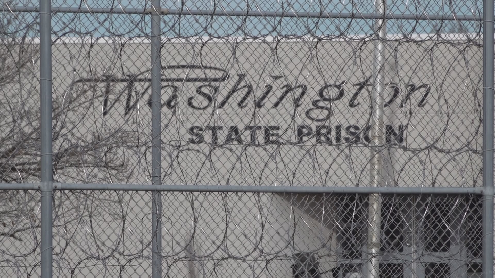 'We need an ambulance' | 911 calls reveal chaos during deadly fights at ...