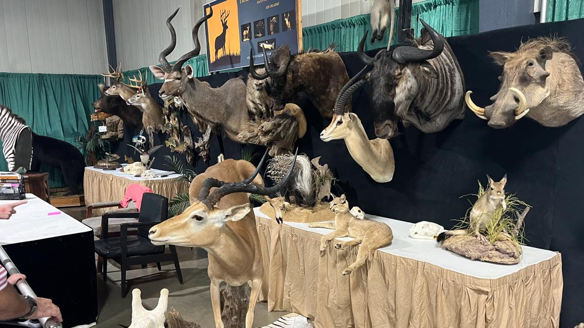 Thousands come out for Buckarama a deer hunting season prep event ...