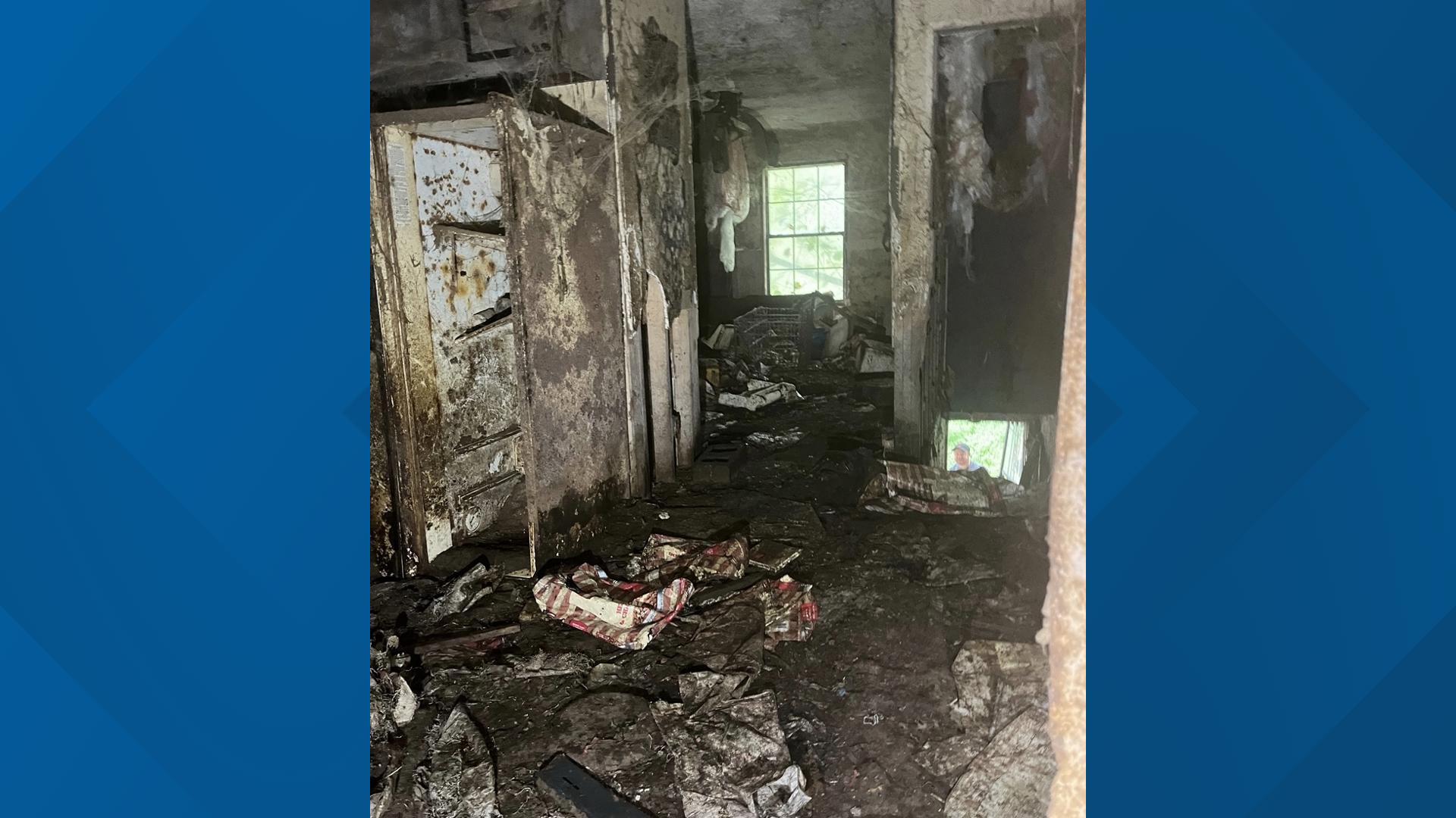 Georgia Department of Ag rescues 32 dogs from unsafe conditions, animal ...