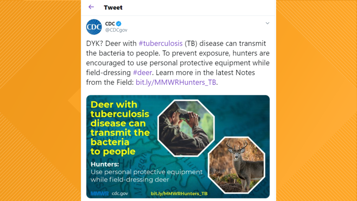 CDC issues tuberculosis warning for deer | 13wmaz.com