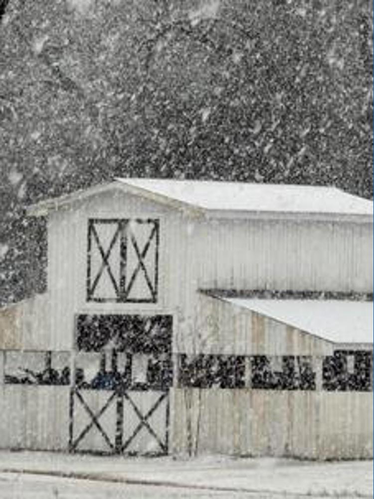 PHOTOS: Central Georgians are sharing their snow photos Sunday morning ...