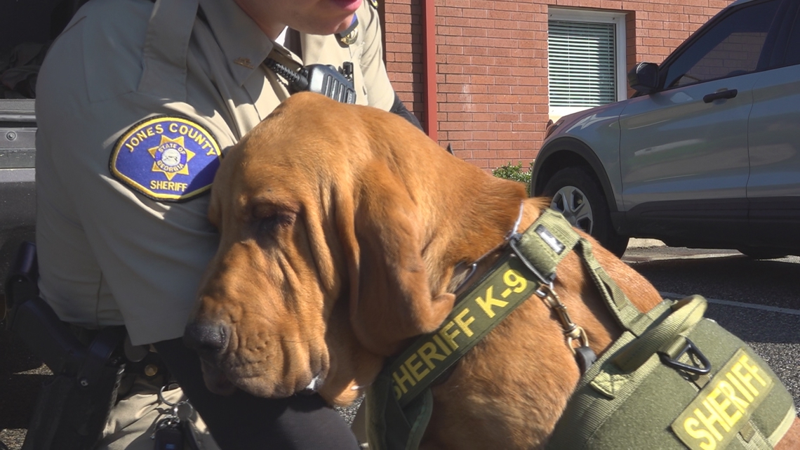 Jones County Sheriff's Office gets new K9 bloodhound | 13wmaz.com