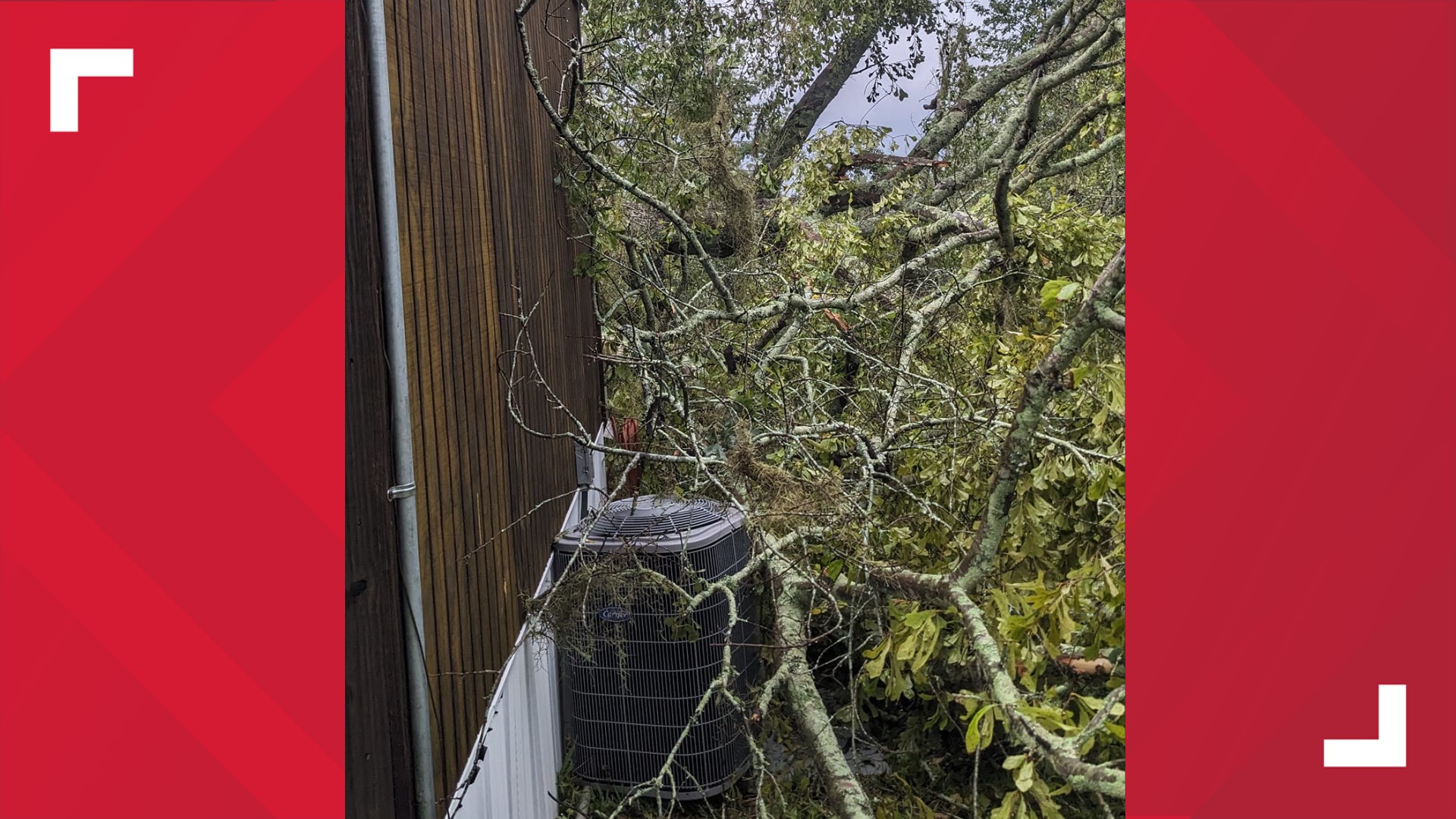 Downed trees in Houston County after severe thunderstorms | 13wmaz.com